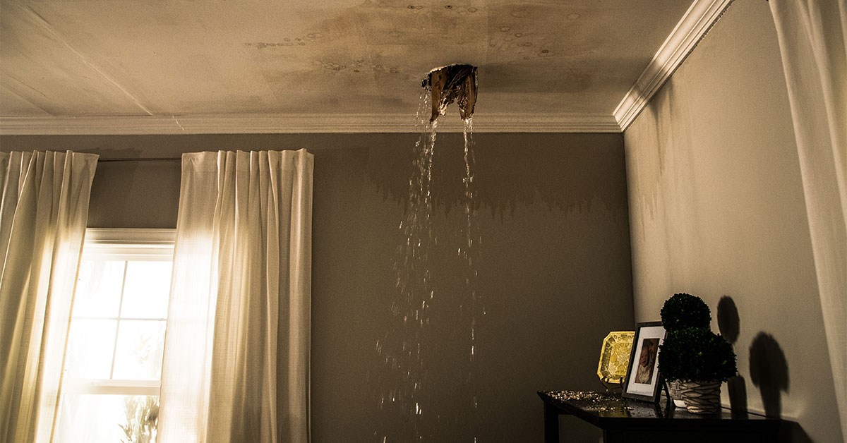 Tips to Prevent Water Damage this Spring | ServiceMaster of Savannah, GA