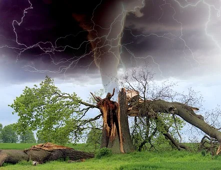 Storm and Disaster Damage Restoration in Savannah | Savannah, GA
